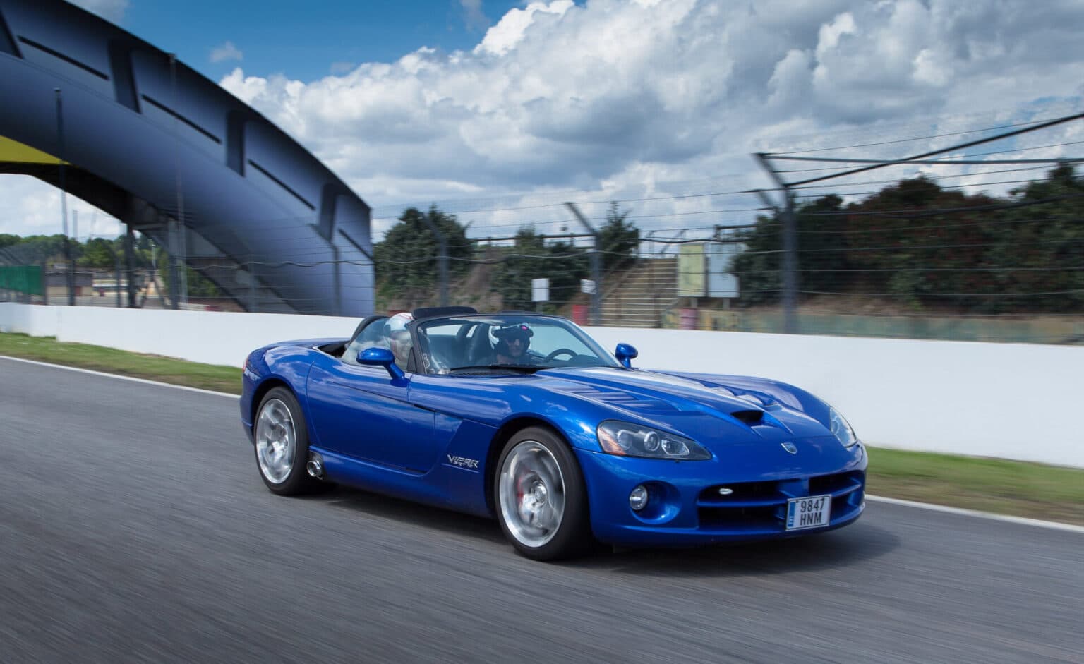 16 Cars Named After Animals—And the Stories Behind Them