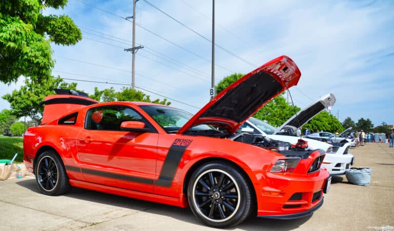 16 Cars Named After Animals—And the Stories Behind Them