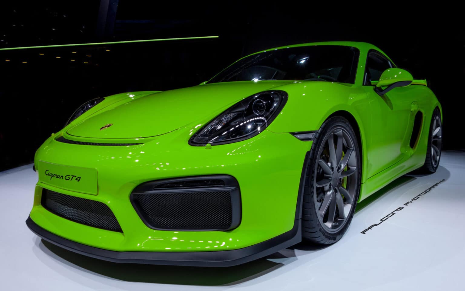 16 Cars Named After Animals—And the Stories Behind Them