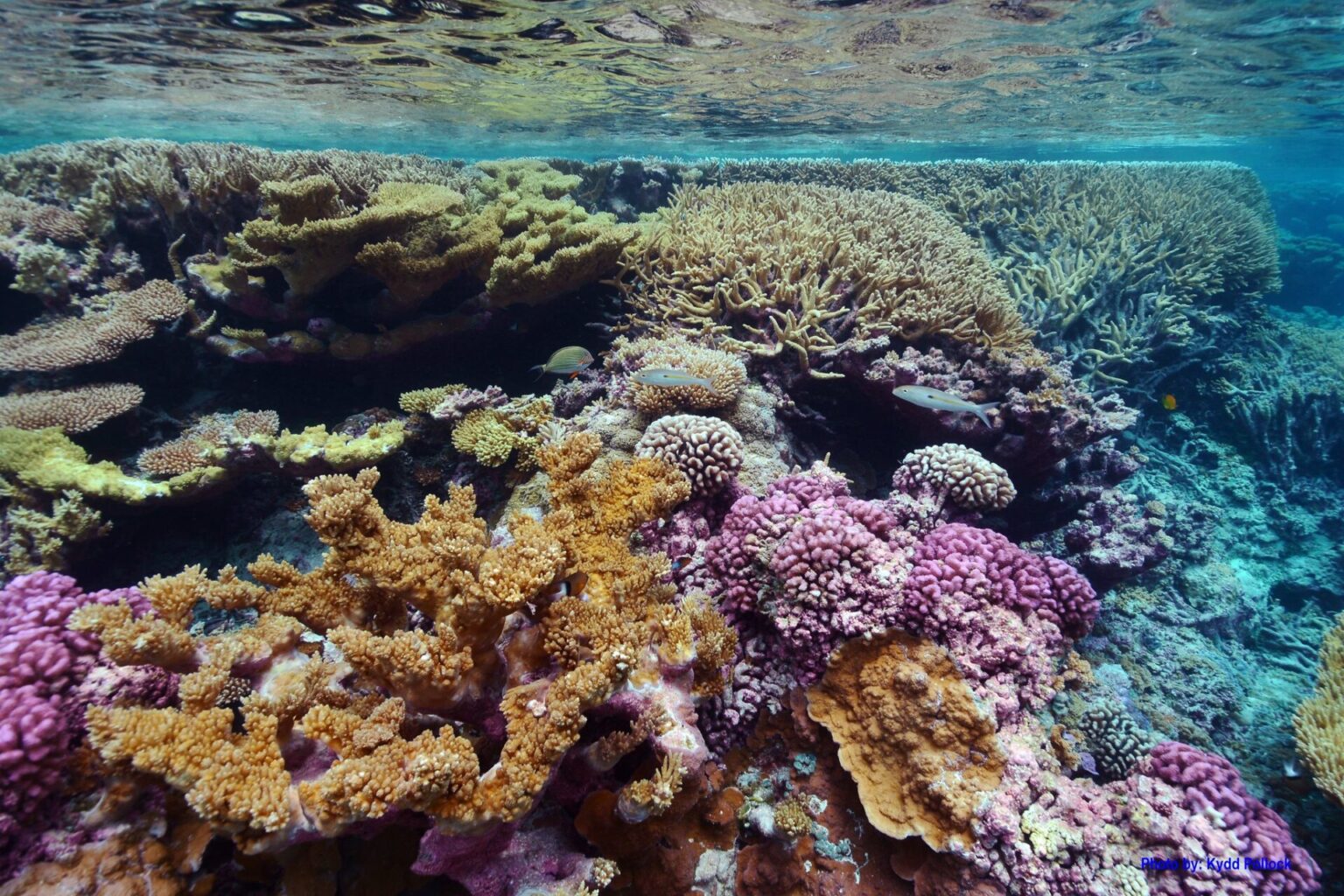 15 Remote Islands That Have Never Been Inhabited
