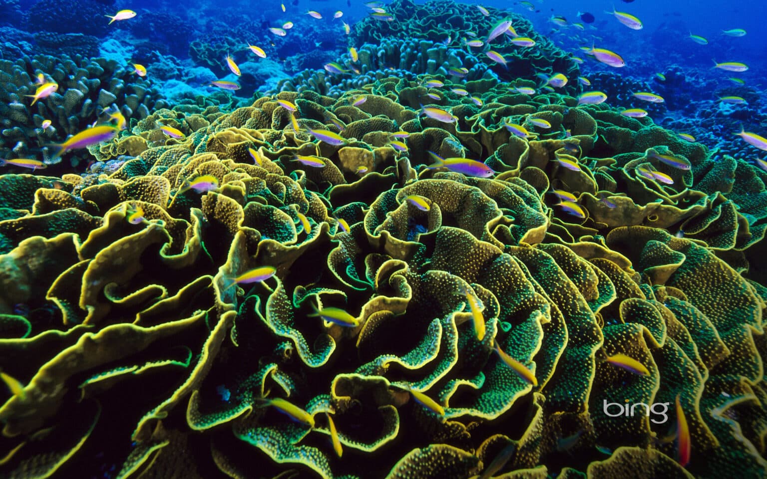 15 Remote Islands That Have Never Been Inhabited