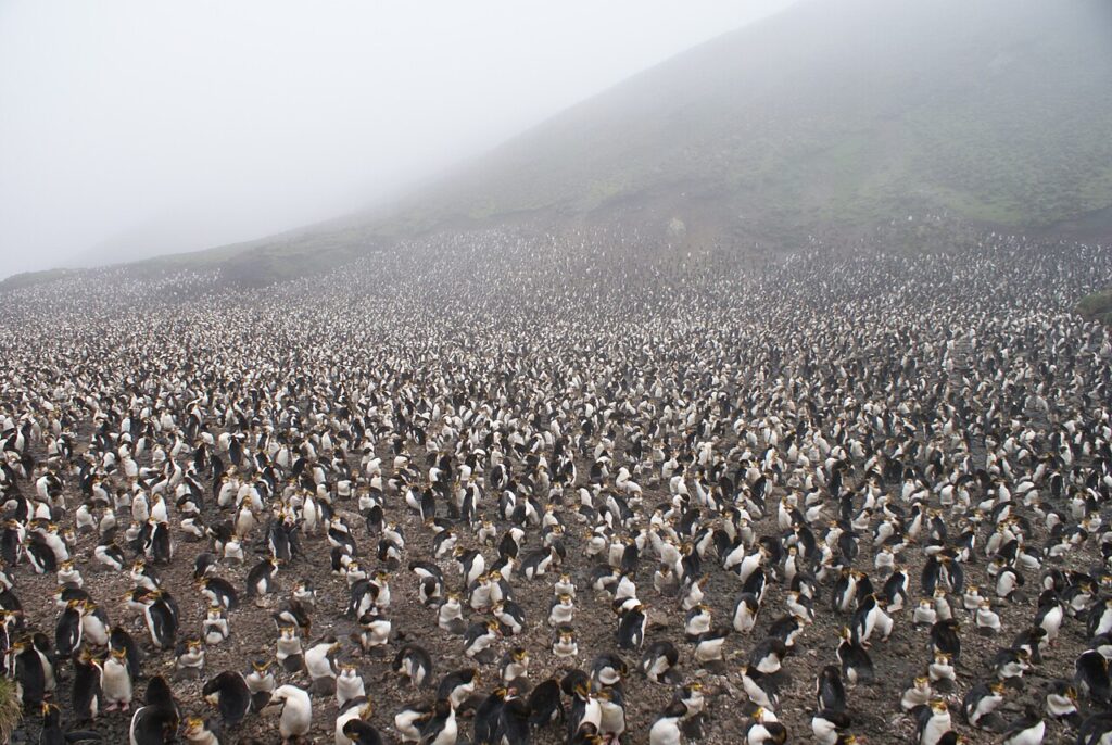 15 Remote Islands That Have Never Been Inhabited