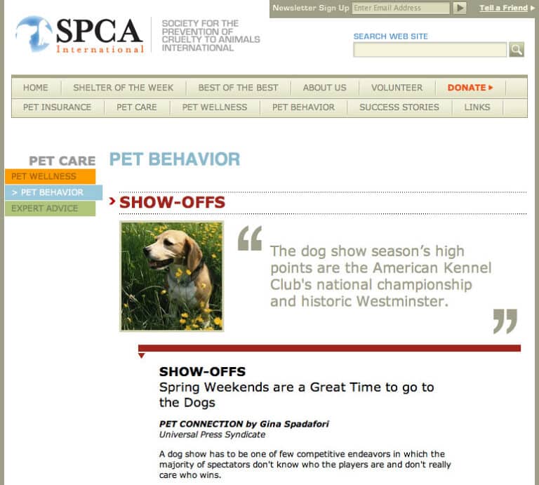 15 Beloved Charities Caught in Major Scandals