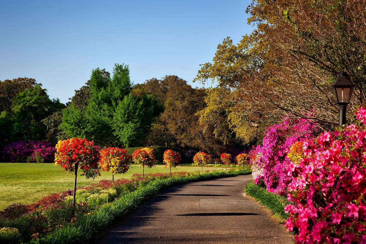 11 US National Parks That Are Off the Beaten Path